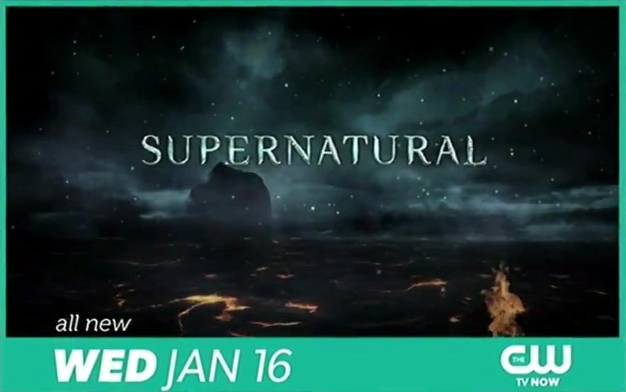 spn810 | Screen-Connections