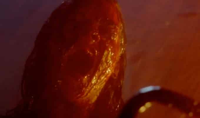 'Evil Dead Rise' Set Photo Teases One Very Bloody Film