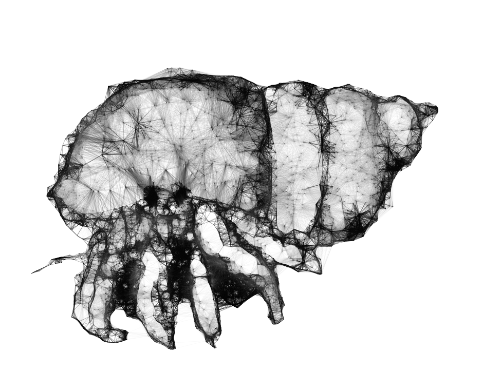 Scriptographer Org Sketchy Structures
