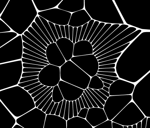 Scriptographer Org Voronoi Tool
