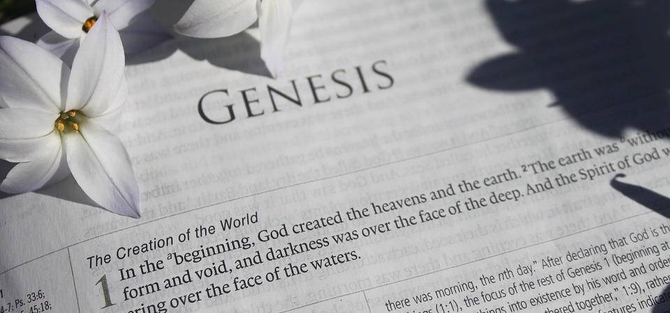 Genesis – ScriptureSource