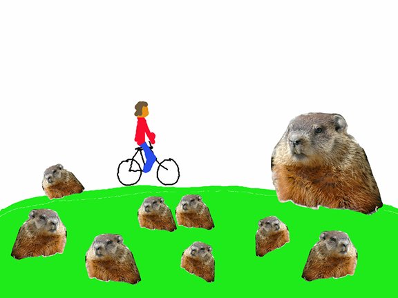 bike ride, with rodents – We Saw a Chicken