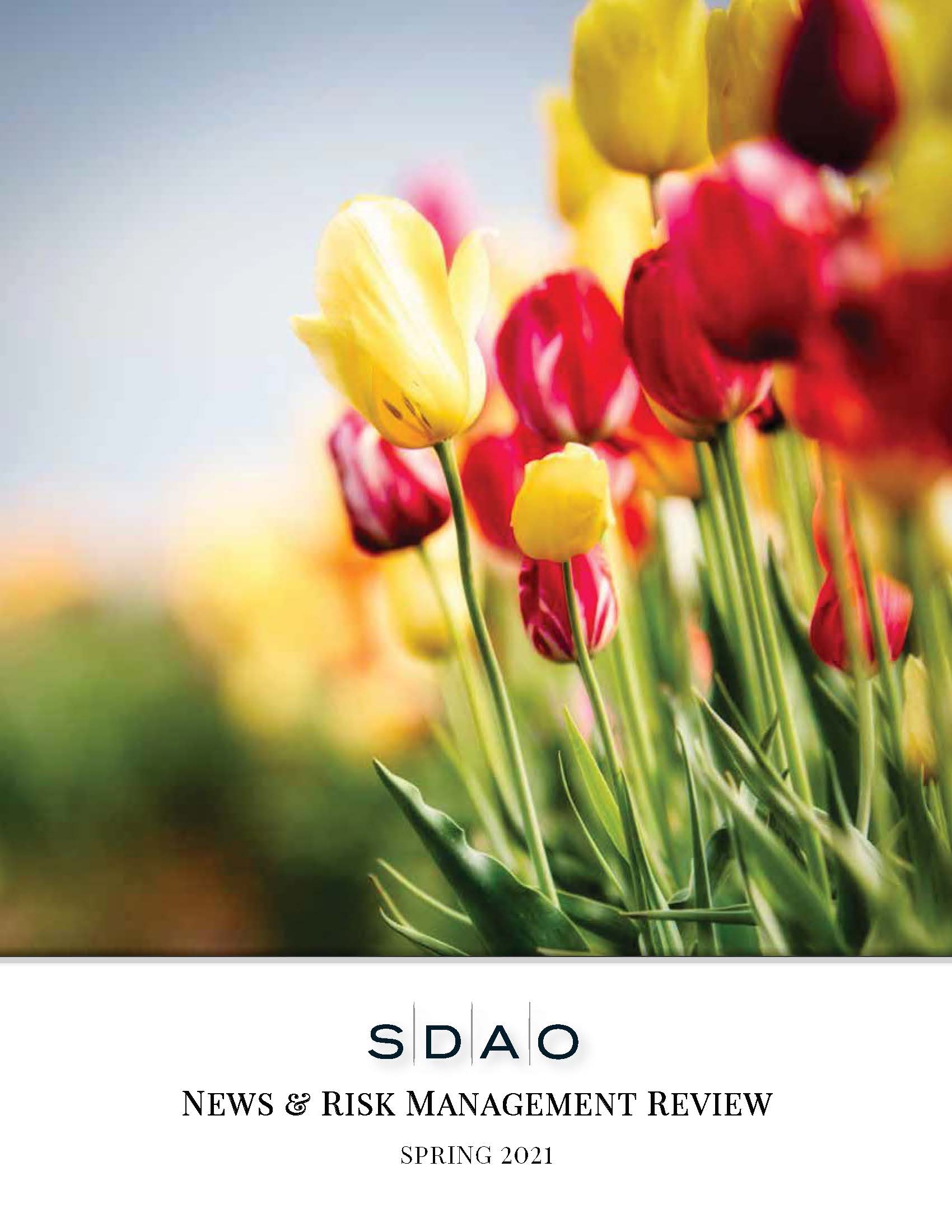 Newsletters – SDAO Resource Library