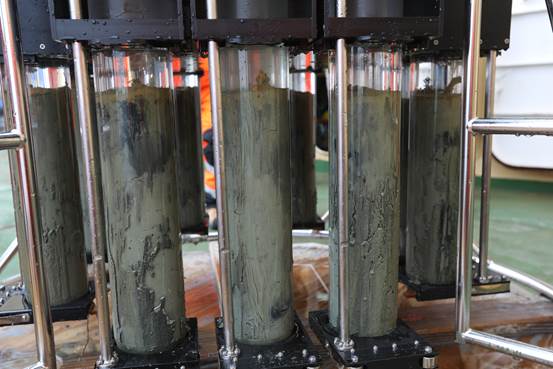 Undisturbed Benthic Sampling with Multiple Corers