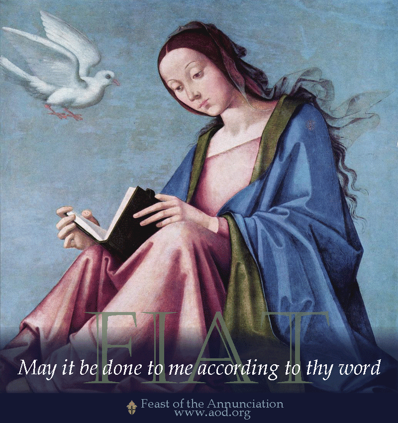 The most blest among women – SEASHELL NELL