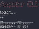 How To Check Angular Version Installed On Your Computer Sebhastian