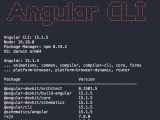 How To Check Angular Version Installed On Your Computer Sebhastian