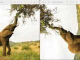 How To Rotate Image Using Php With Code Example Sebhastian