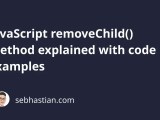 Javascript Removechild Method Explained With Code Examples Sebhastian