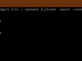 Remote Code Execution Packt Secpro