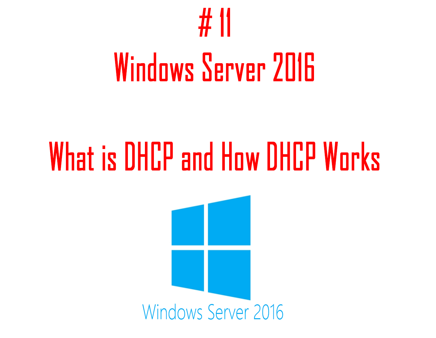 What is DHCP and How DHCP Works - Security Cipher
