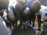 Poetry For School Gardens Seed Programs