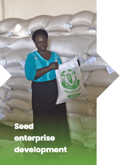 Home - Seed Systems Group