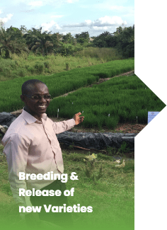 Home - Seed Systems Group