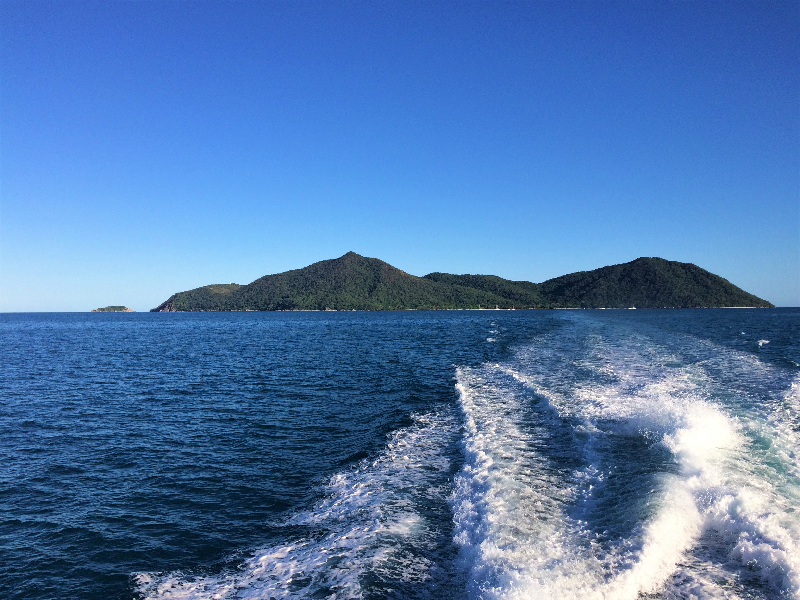 Things to do on Fitzroy Island - Seek to sea more
