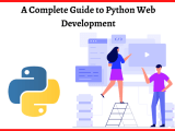 A Complete Guide To Python Web Development Seeromega