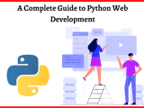 A Complete Guide To Python Web Development Seeromega