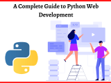 A Complete Guide To Python Web Development Seeromega