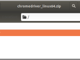 Install Chromedriver For Selenium Pianoer