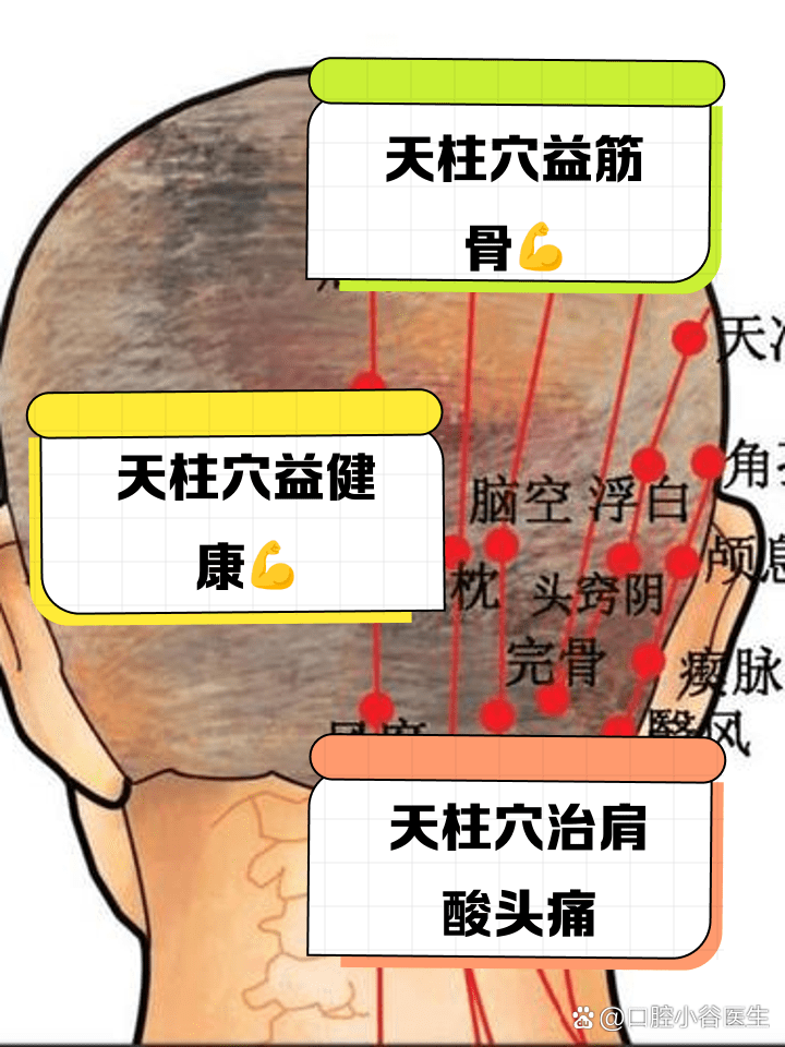 天柱的位置与作用和功效