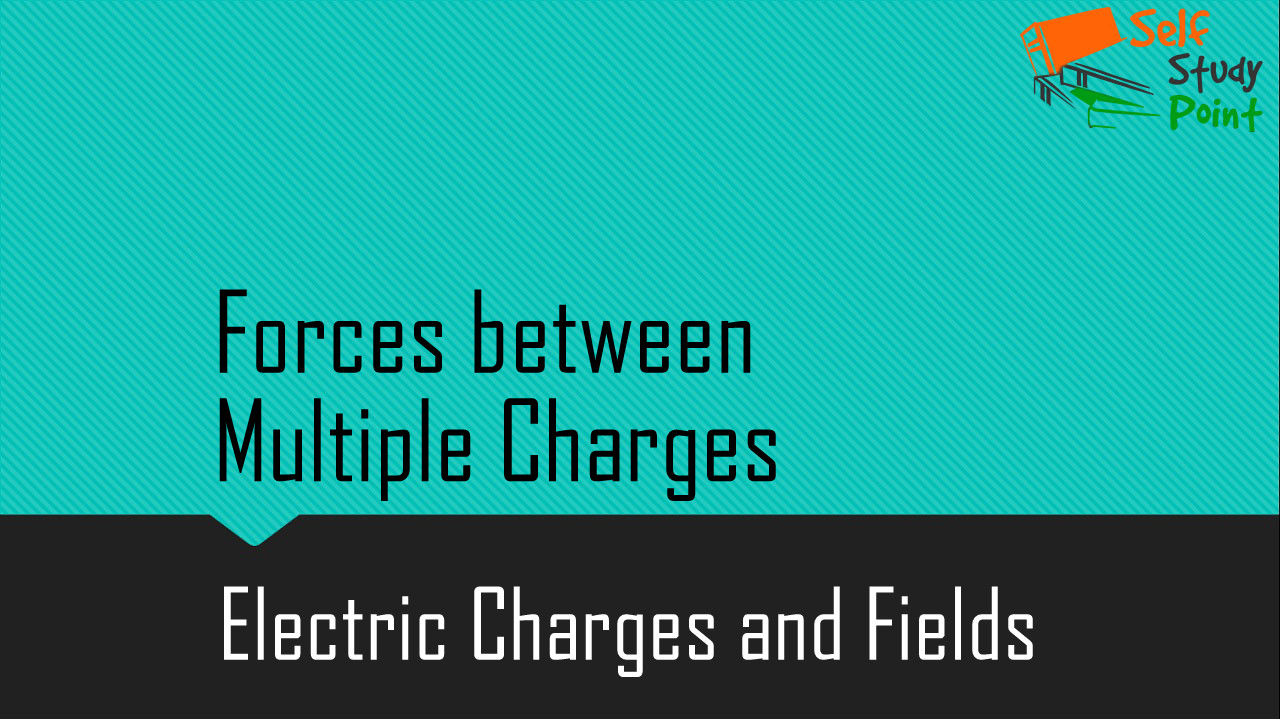 Forces between Multiple Charges - Self Study Point