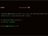 Ssh Debugging Semaphore