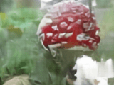 Diffcom Channel Received Signal Is A Natural Condition To Guide