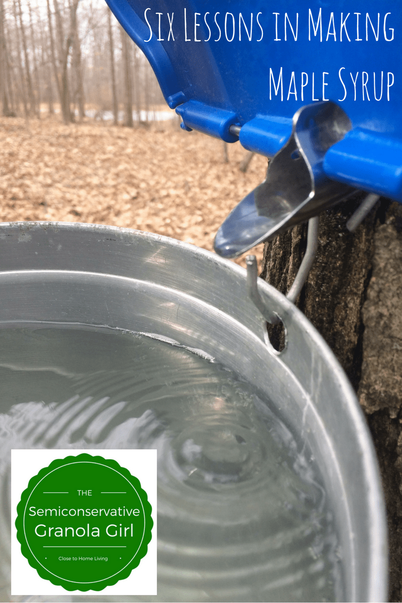 Six Lessons in Making Maple Syrup - The Semiconservative Granola Girl
