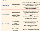 Modified Clinical Test Of Sensory Interaction In Balance Mctsib How