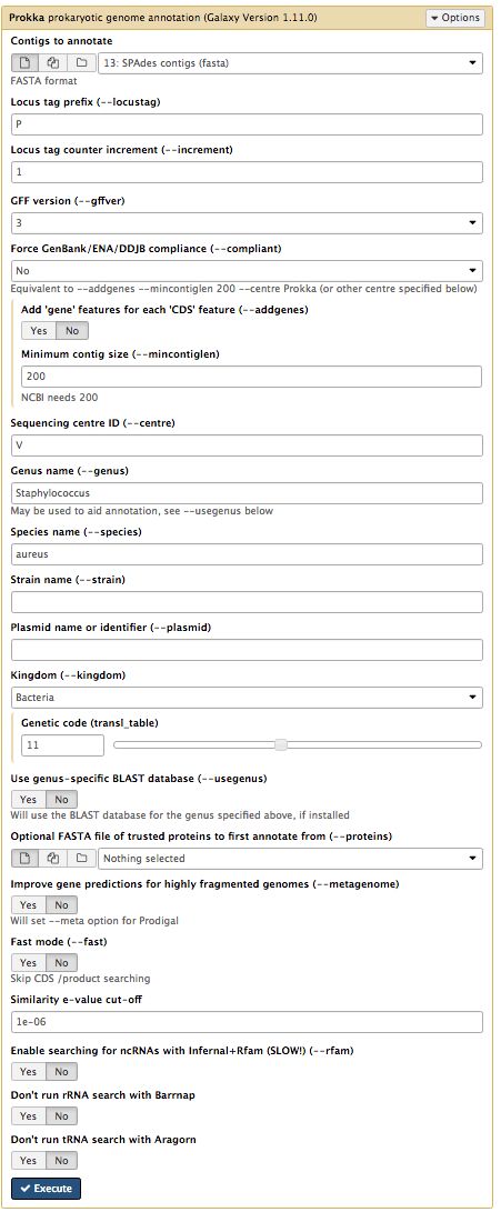 Prokka Csdn - High Quality Colorful Illustration - HD