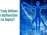 What Truly Defines Organ Dysfunction Due To Sepsis Sepsis Program