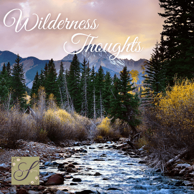 The Wilderness of Lent - Serenity in Suffering