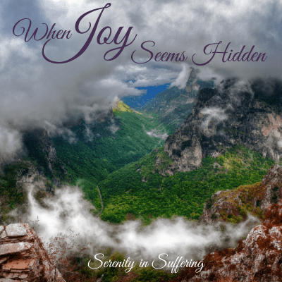 Trusting When Joy Seems Hidden - Serenity in Suffering
