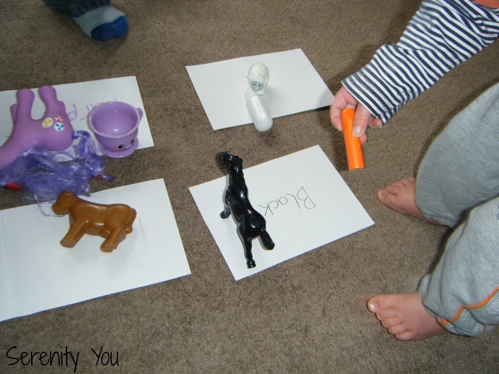 Colour Sorting Game - Serenity You