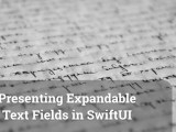 Presenting Expandable Text Fields In Swiftui Serialcoder Dev