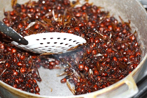 Fried-Ants