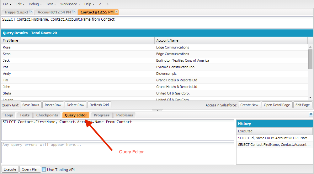 Understand SOQL Basic - SFDC Beginner