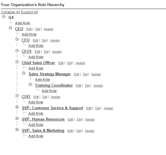 Understand User Roles and Profiles - SFDC Tutorial