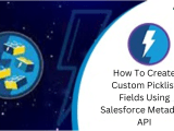 How To Create Custom Picklist Fields Using Salesforce Metadata Api