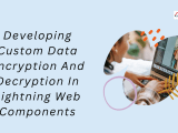 Developing Custom Data Encryption And Decryption In Lightning Web
