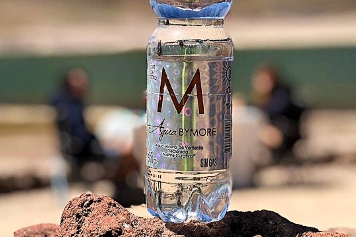 MORE Chile, startup de productos chilenos que se preocupa por el ...