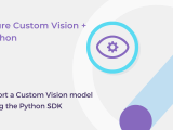 Export A Custom Vision Model Using The Python Sdk