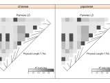 Example Of Data Set For Ldheatmap Chbjptdata Ldheatmap