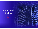 Data Analysis Using Spss Course Sgl Technologies