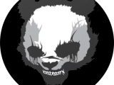 Home Shanesteer Github Io