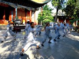 Shaolin Kung Fu Styles