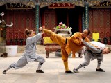 Shaolin Kung Fu Styles