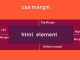 Learn Css Margin Empty Space Around Html Element Shape Your Path
