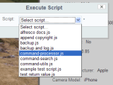Share Extras Execute Script Action