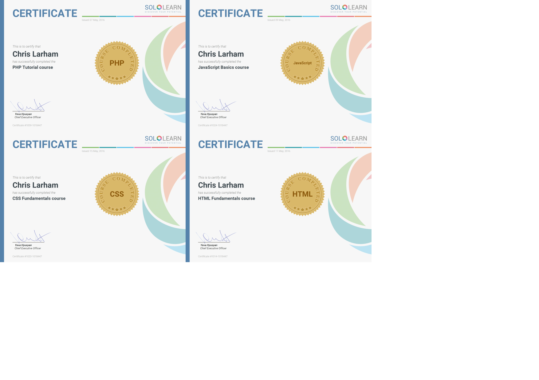 SoloLearn Certification [2016 – 2018] | sharedsapience.info